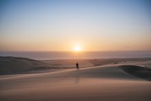 US high yield: Broader financing options soften impact of higher rates ...